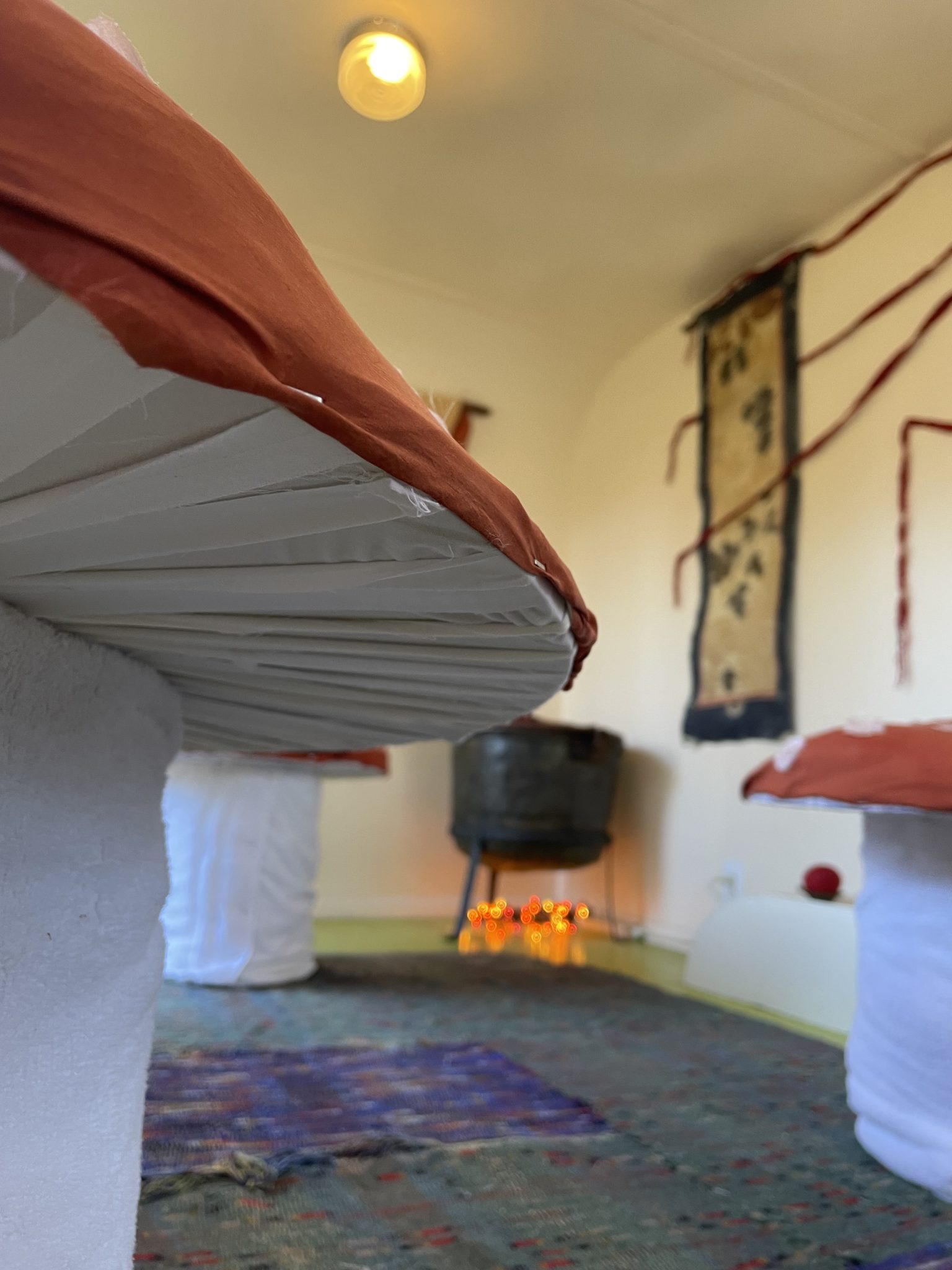 IMG_1398 - Sou'wester Lodge